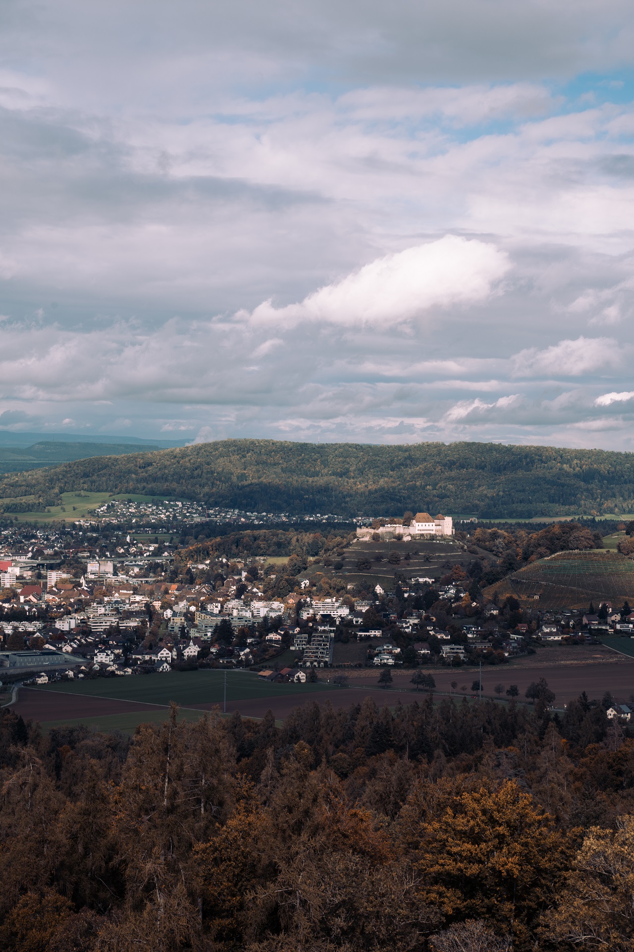 Swiss City Guide: 5 Things to do in Lenzburg - Lifetime-Insight